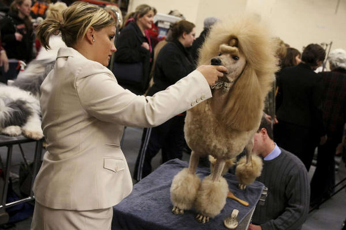Kathleen Parker: Trump isn't Putin's poodle - poodles are brave! [Opinion]