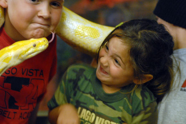 Snakes on an Interstate