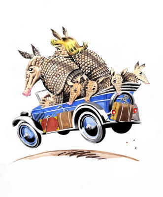 The armadillo is waddling its way north