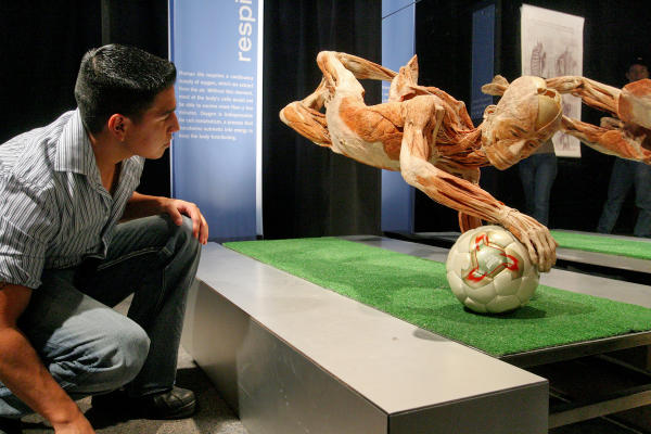 Closing of Body Worlds exhibit draws record crowds