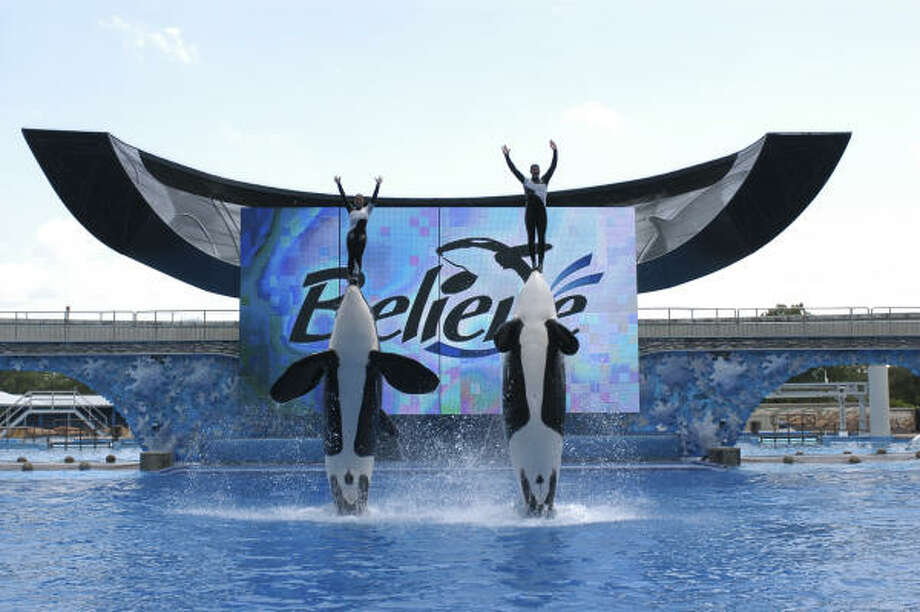 TEXAS TRAVEL: SeaWorld introduces new show - Houston Chronicle