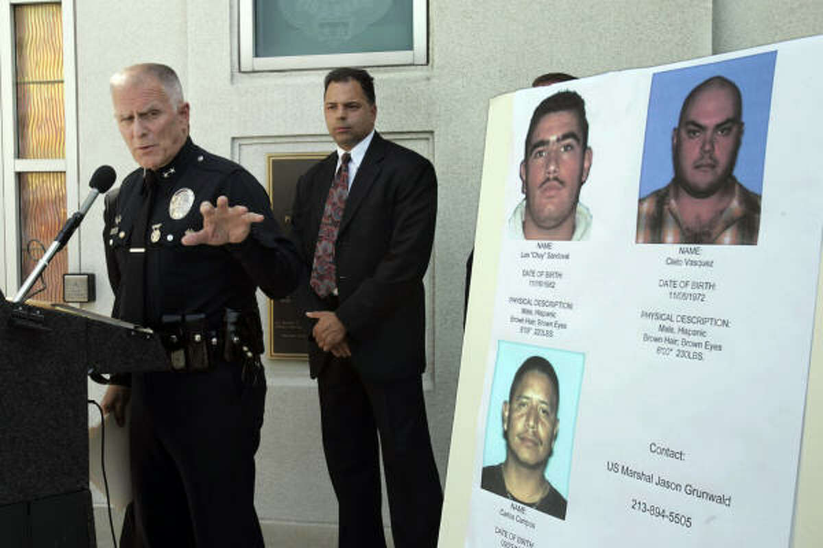 Mob mentality used against gangs