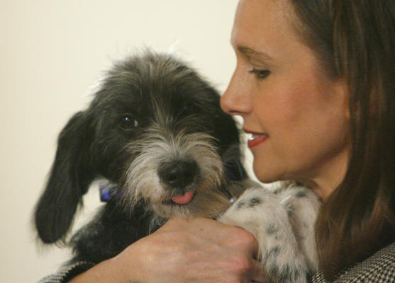 Houston rescue group saves homeless cats, dogs