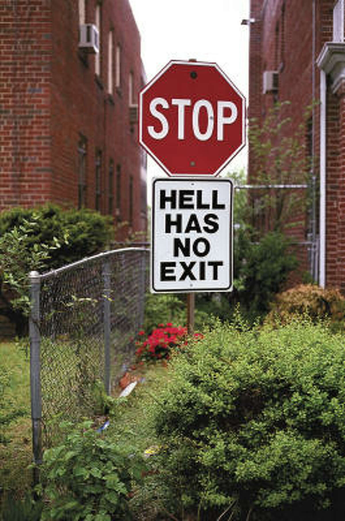 Signs of faith flourishing