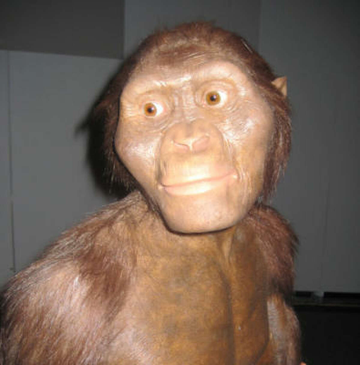 Ethiopia shares Lucy treasure with Houston