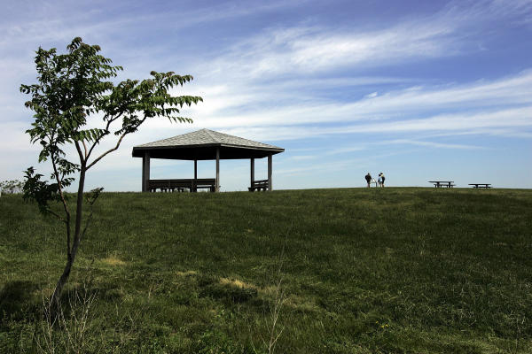 Spectacle Island