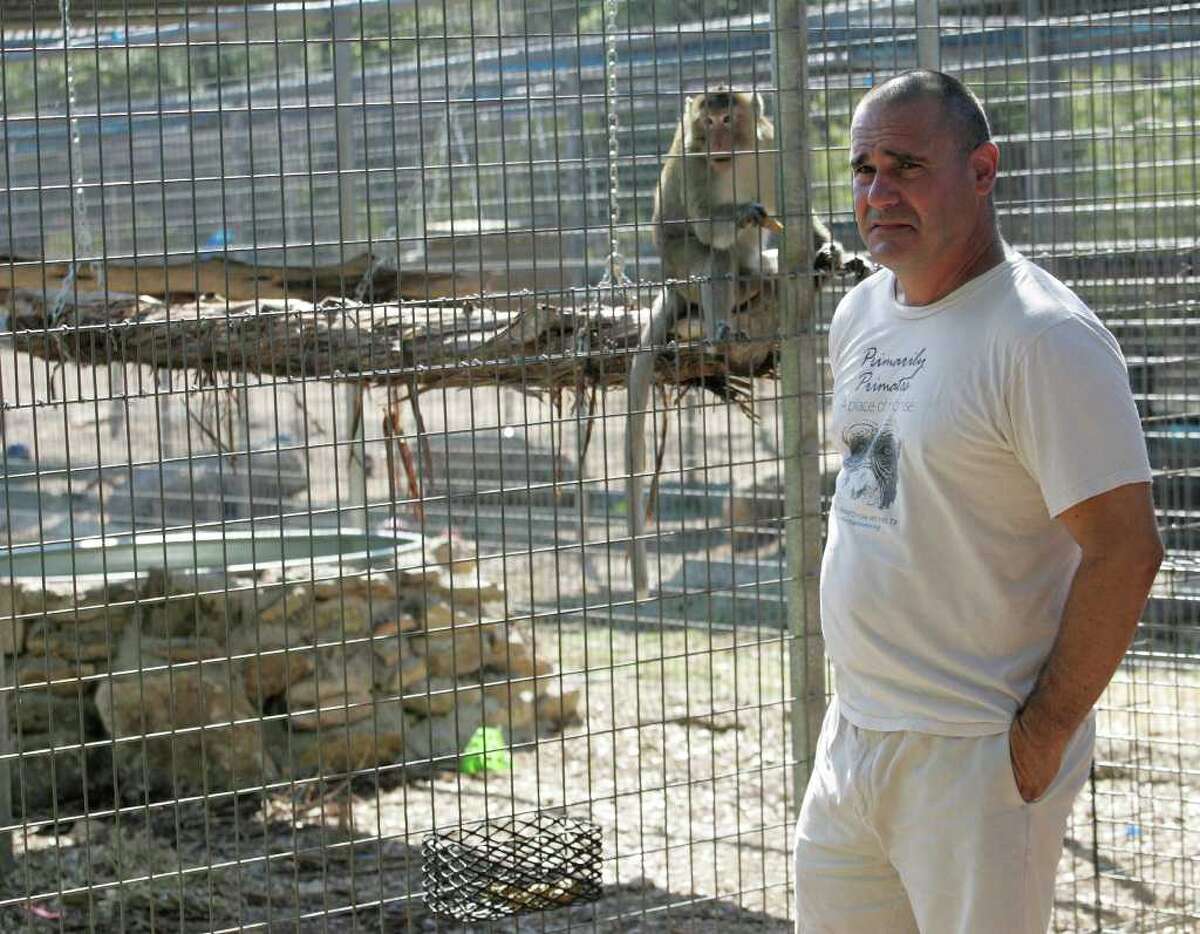 Animal sanctuary takes in abused monkeys