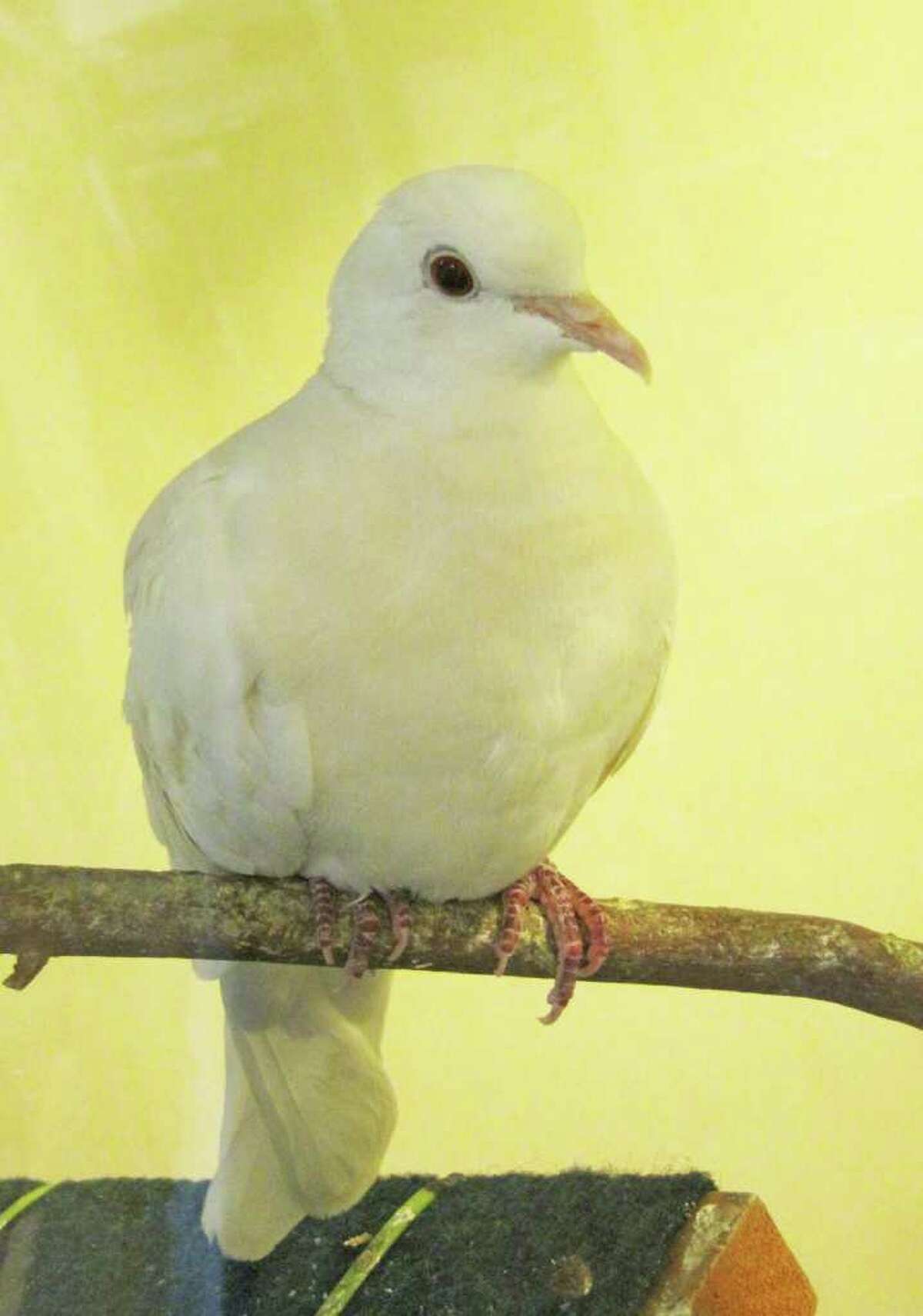 A place where 'Earth' and its creatures are naturally at home