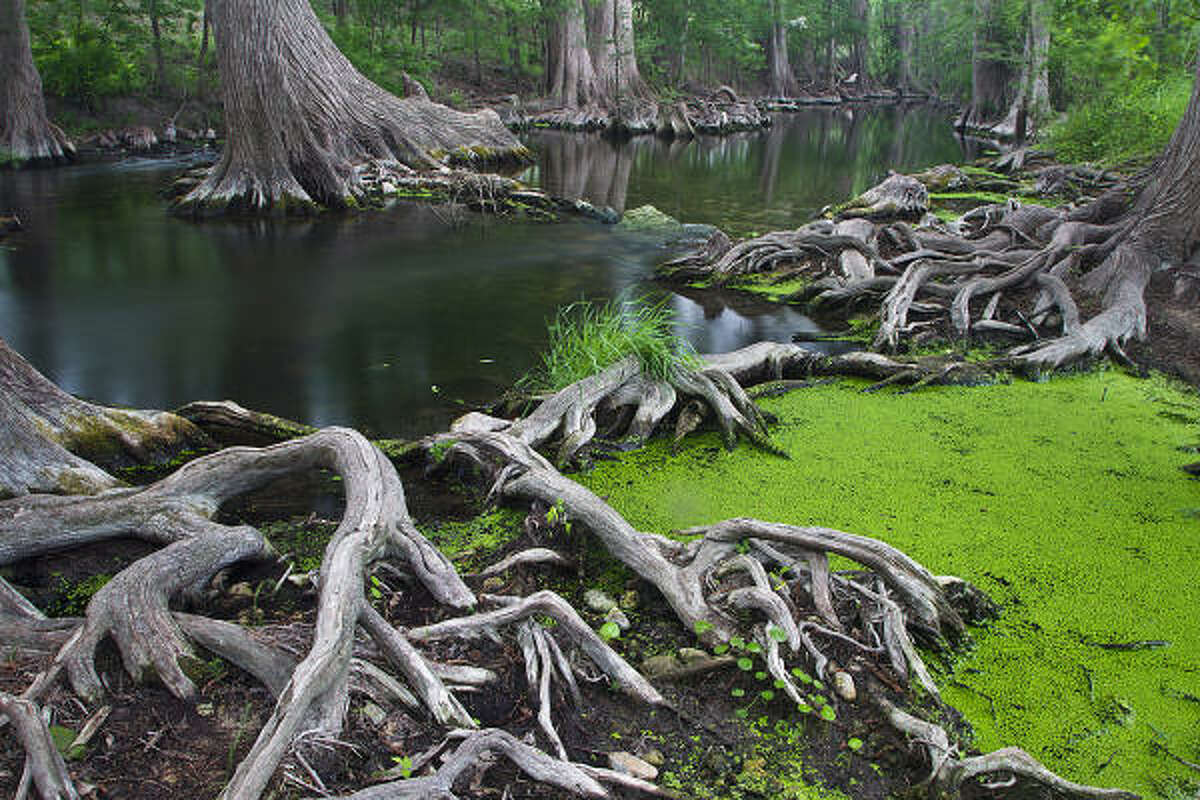 Cibolo center is a haven for learning about the outdoors