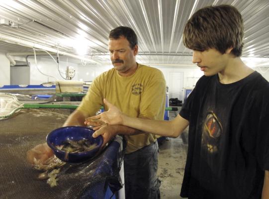 A bigger field for fish farming in coastal waters
