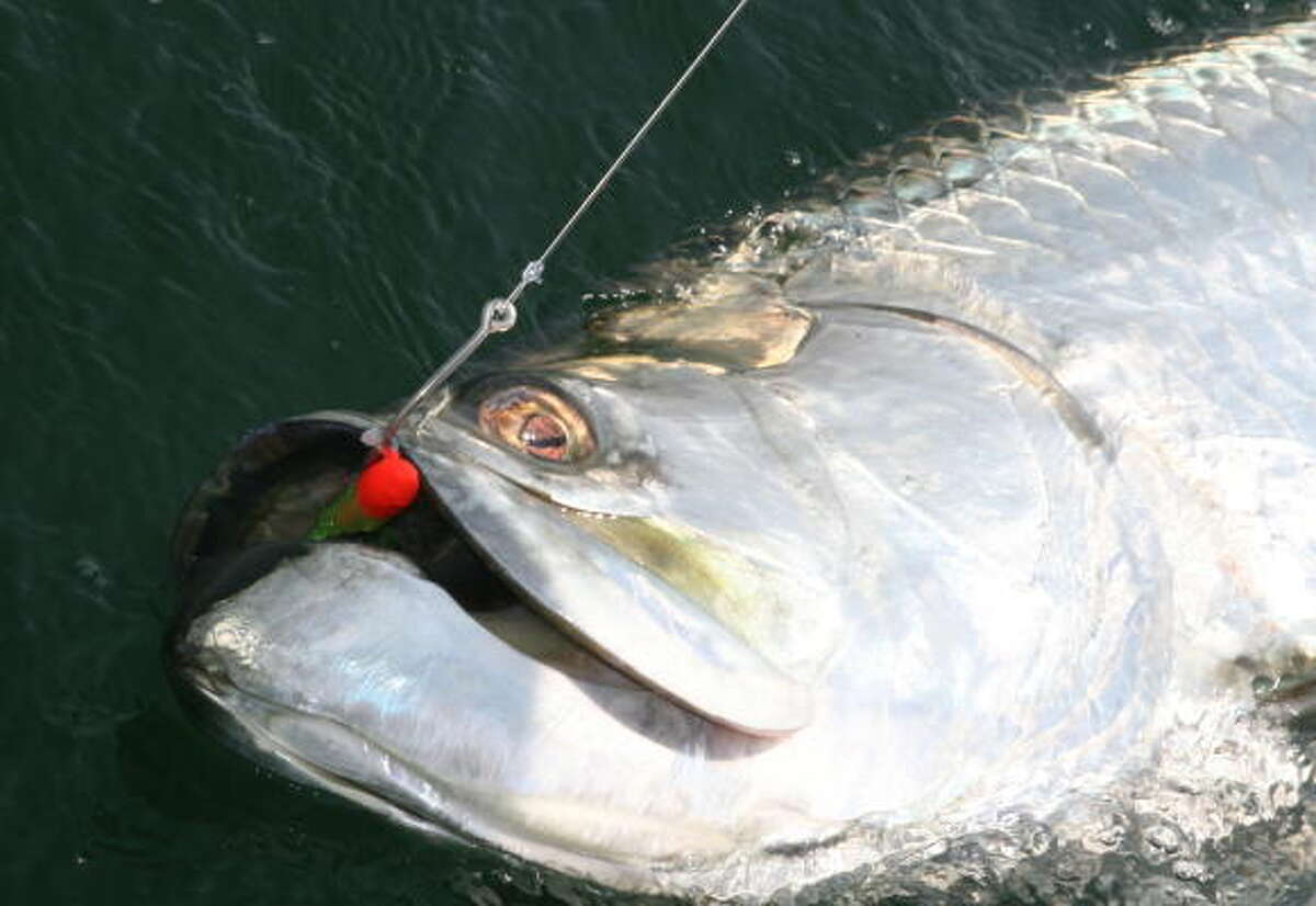 Tompkins: For many Texas anglers, silver kings are gold