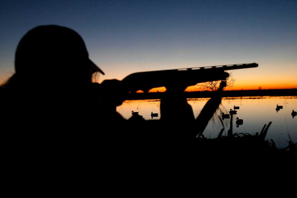 I own guns, and I believe in gun control