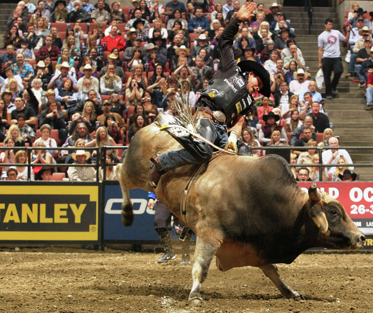 Riding to fame on a rodeo bull