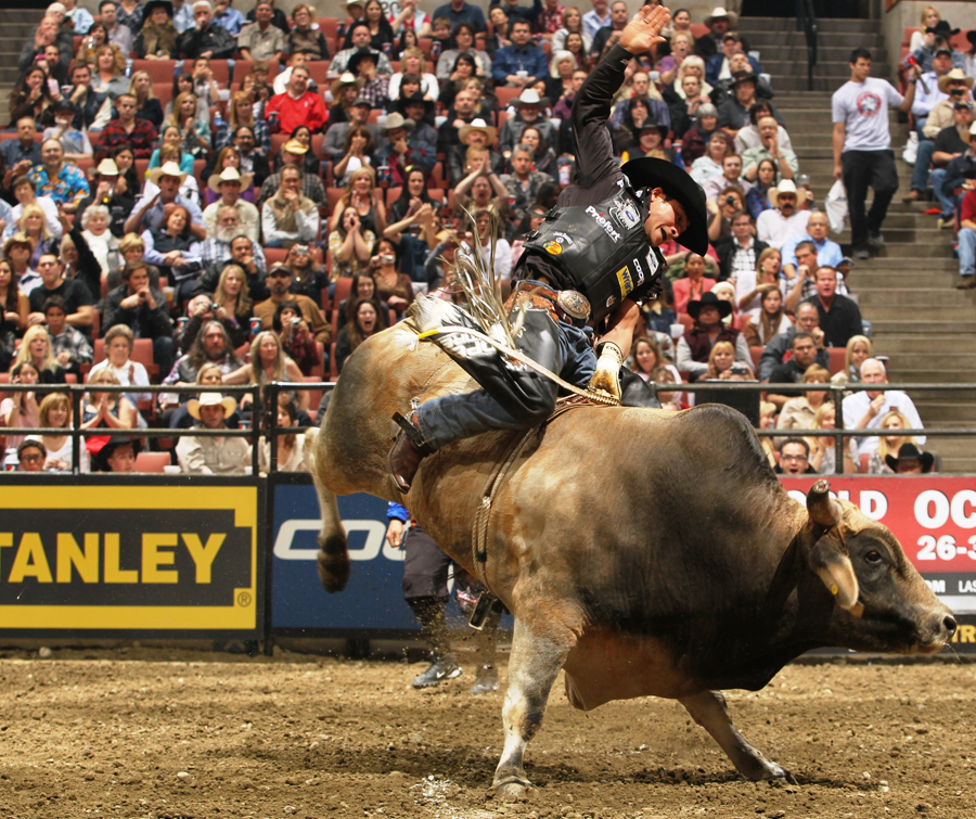 Riding to fame on a rodeo bull
