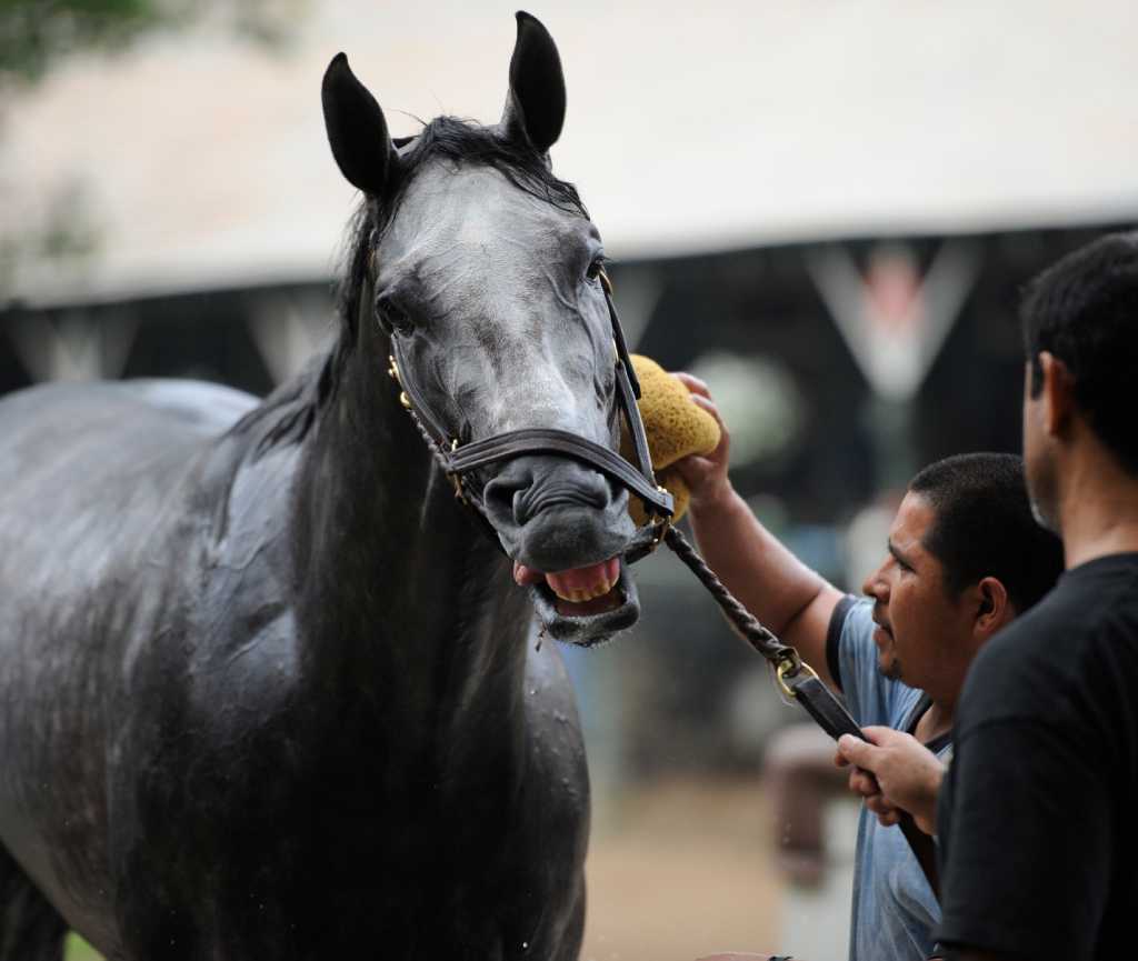 Plum Pretty leads strong field