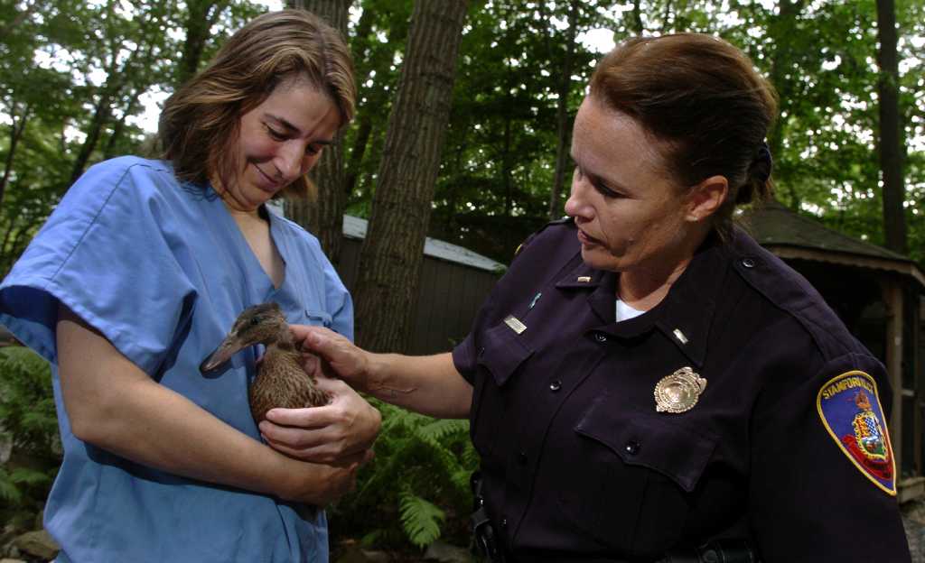 Police officer rescues two hawks on same day