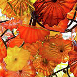 World's largest Chihuly exhibit breaks ground in Seattle - seattlepi.com