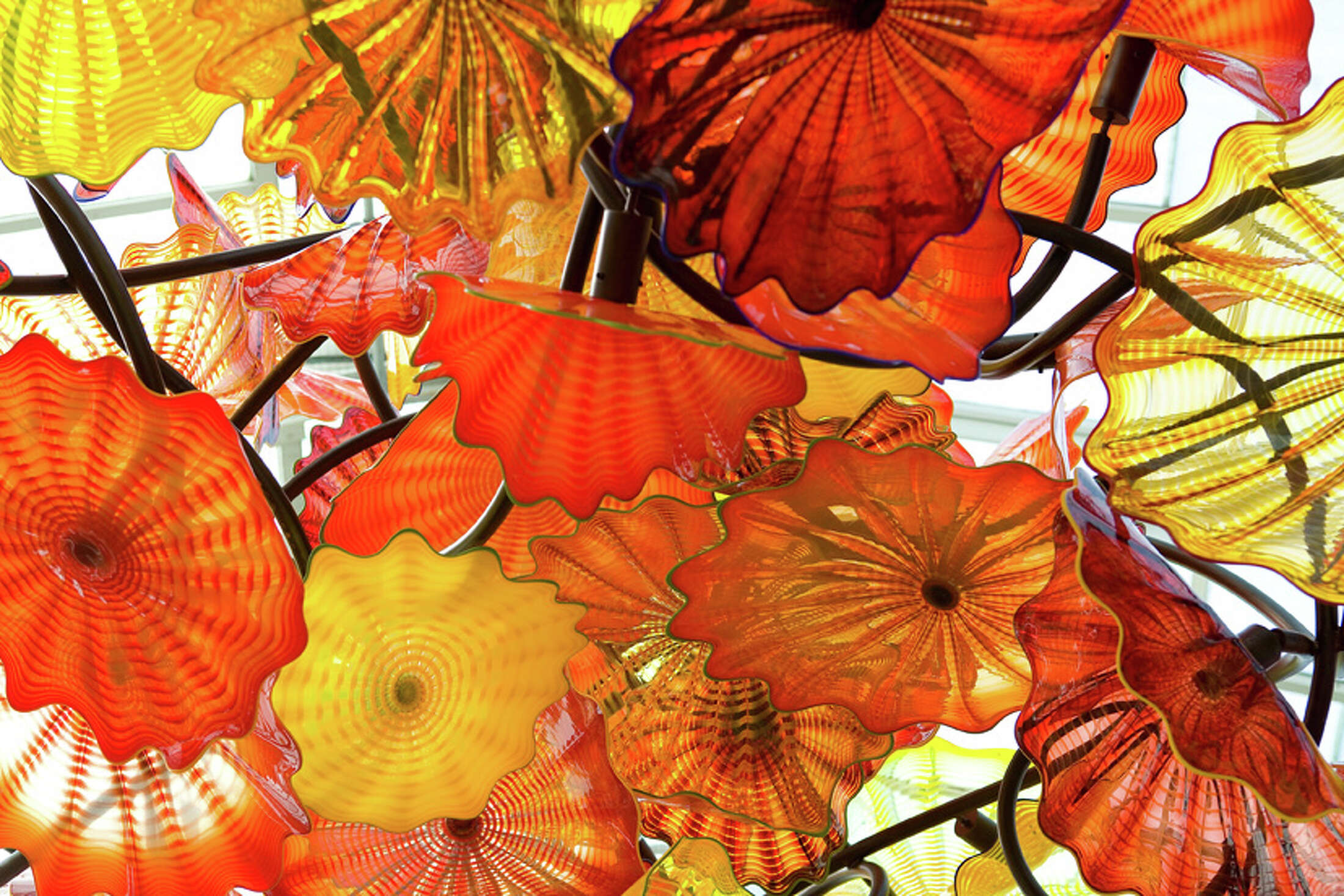 World's largest Chihuly exhibit breaks ground in Seattle