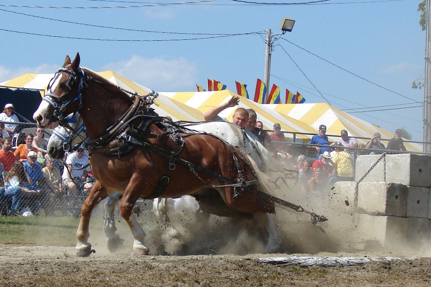 Labor Day weekend holds much promise for fair-lovers