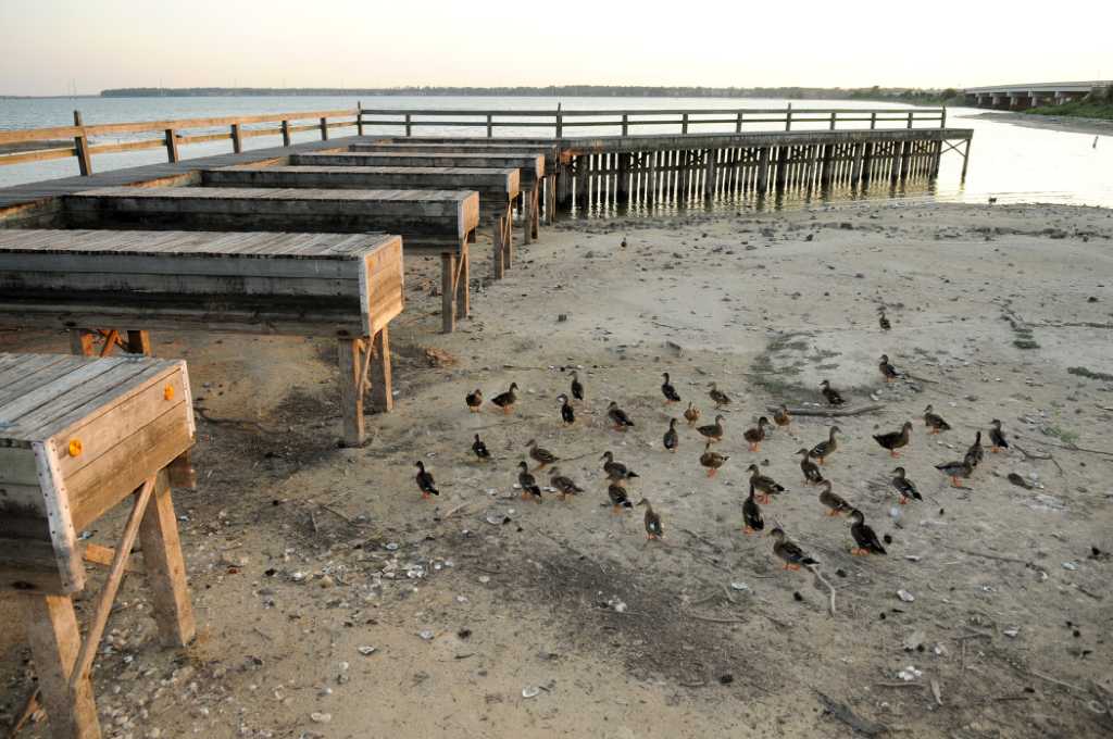 Drought leaves mark on Lake Houston