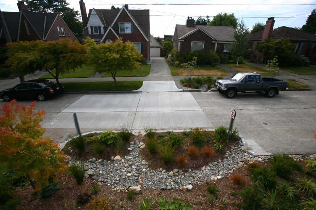 Ballard Rain Gardens | Fasci Garden