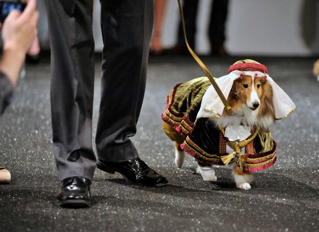 Offbeat photos of the week (8/25/11)