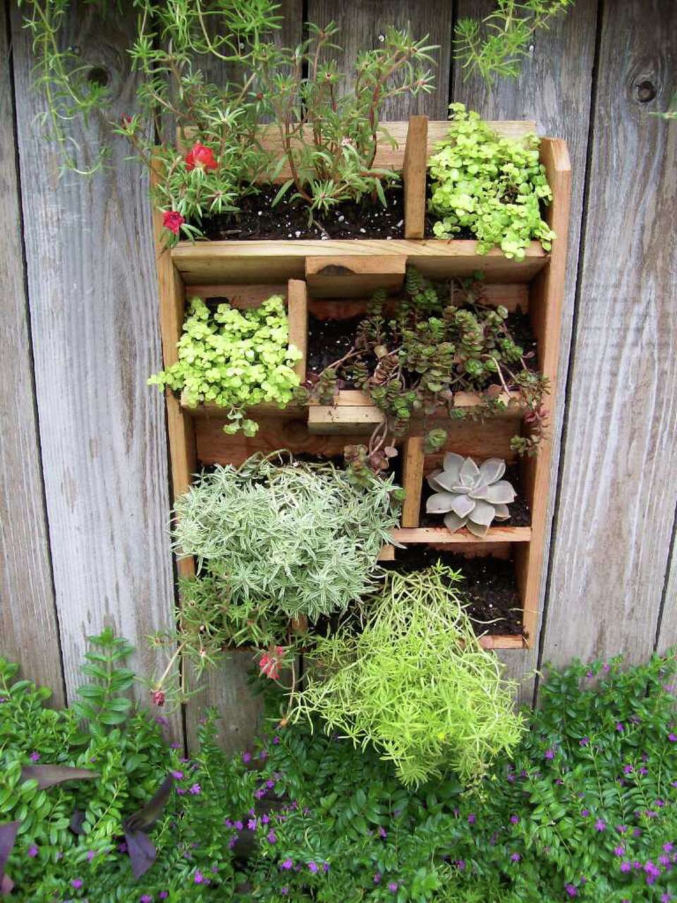 Vertical gardening takes plants to new heights