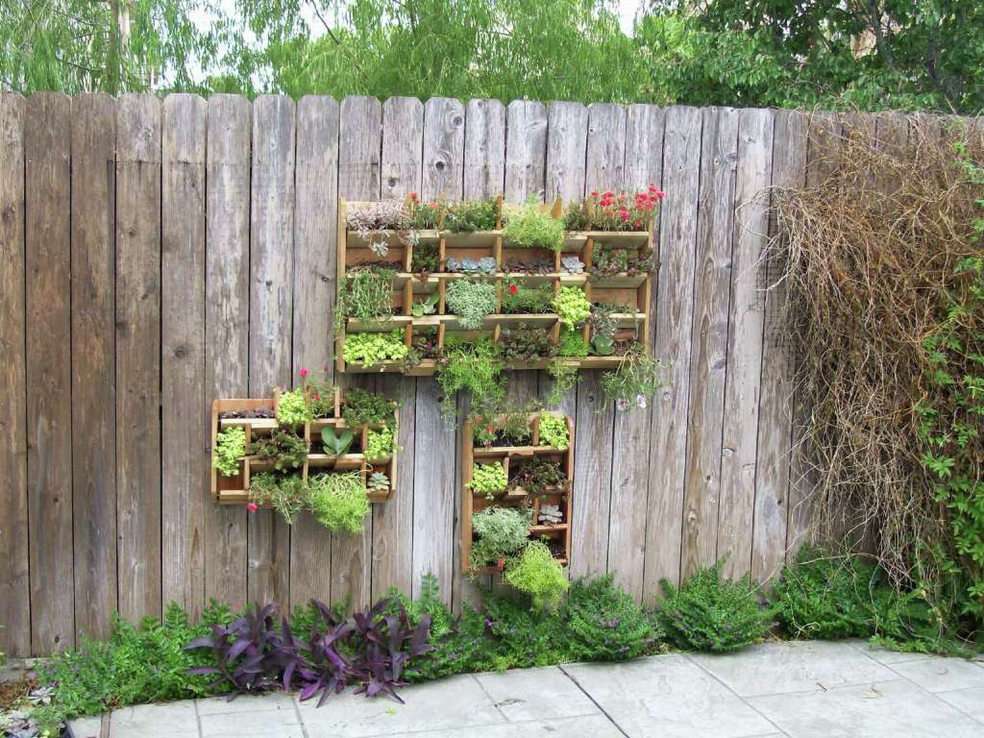 Vertical gardening takes plants to new heights