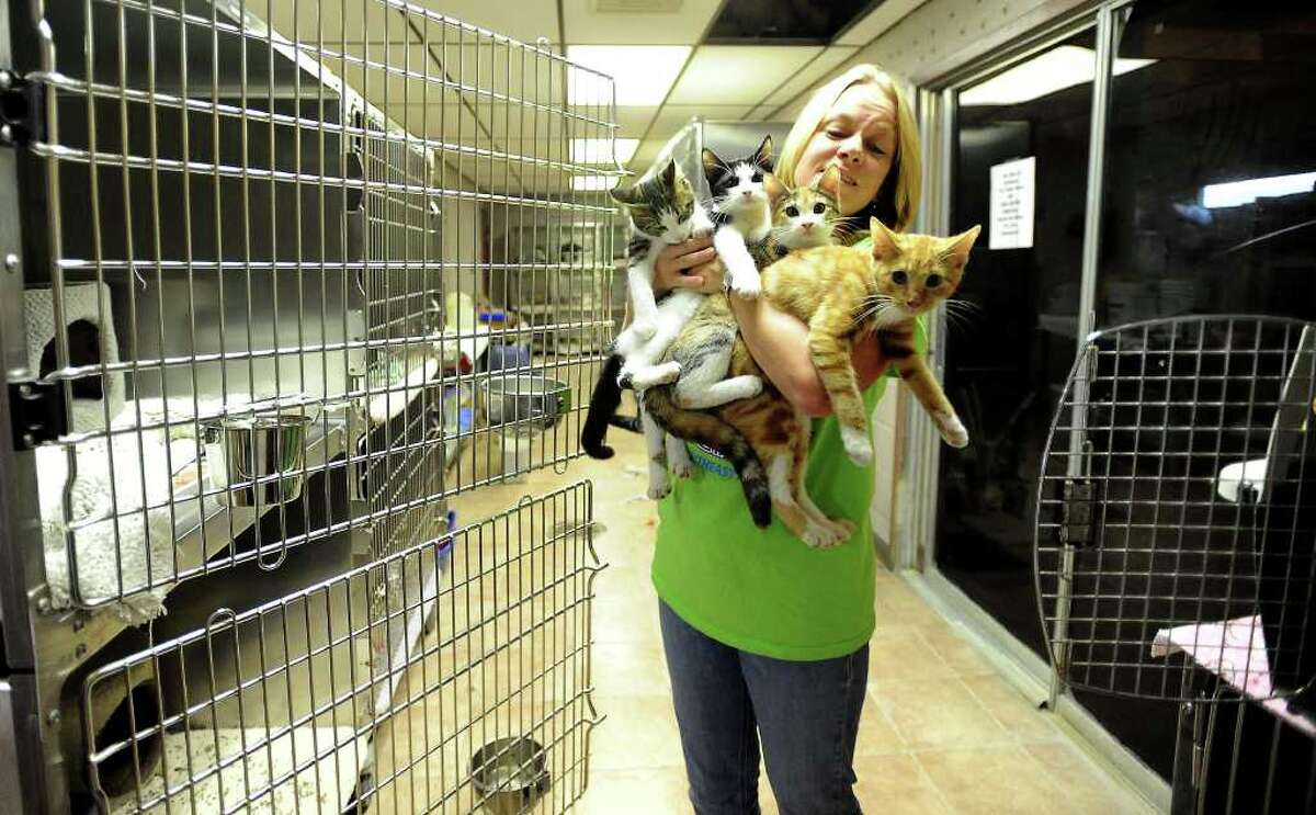 Humane Society of Southeast Texas cares for more than 1,000 animals