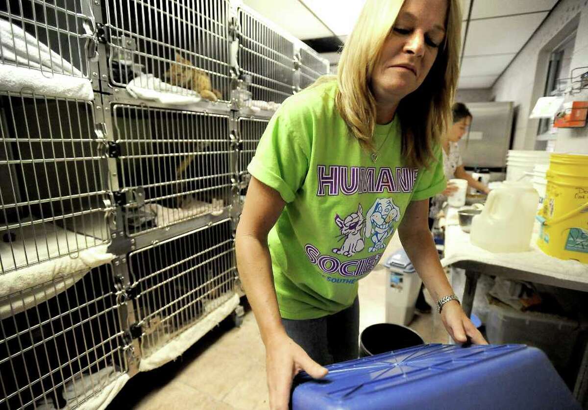 Humane Society of Southeast Texas cares for more than 1,000 animals