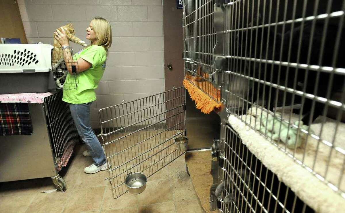 Humane Society of Southeast Texas cares for more than 1,000 animals