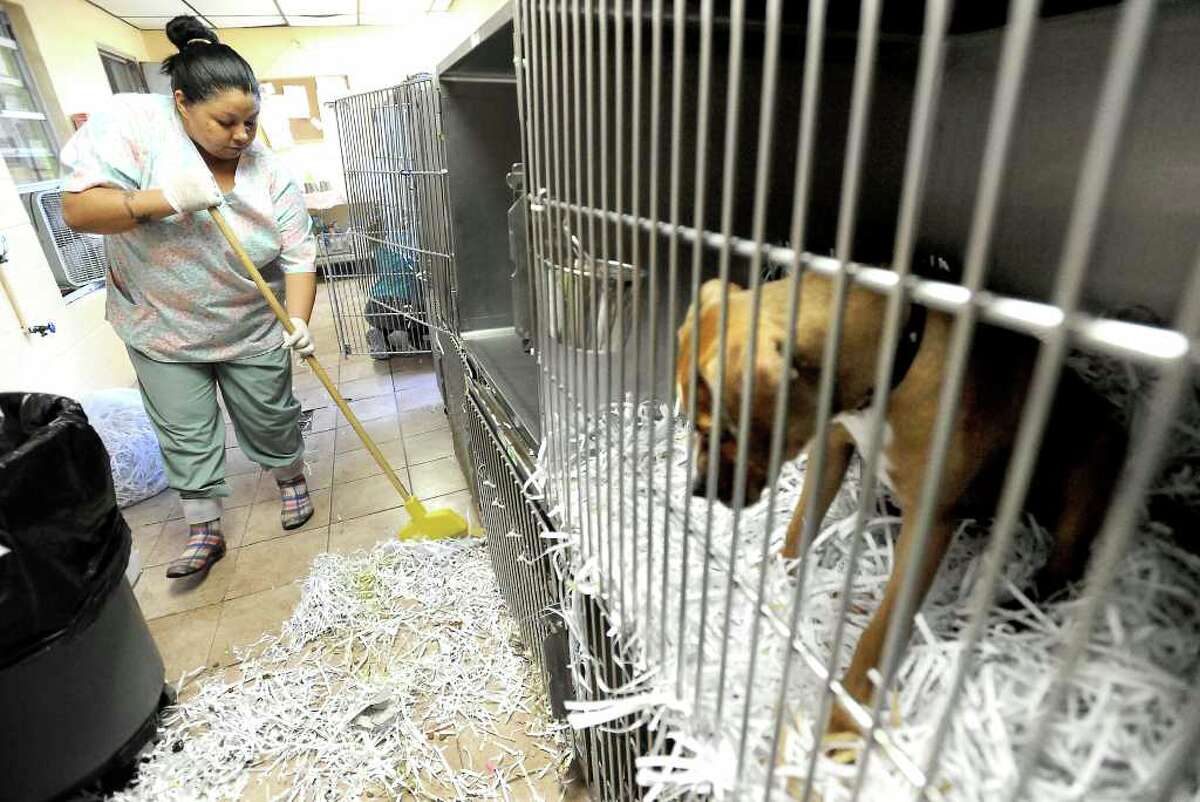 Humane Society of Southeast Texas cares for more than 1,000 animals