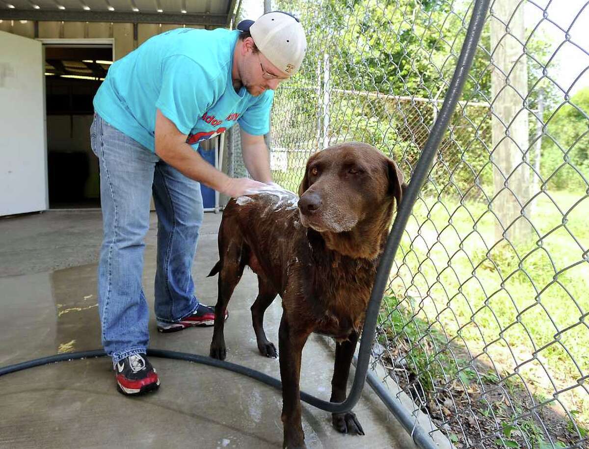 Humane Society of Southeast Texas cares for more than 1,000 animals