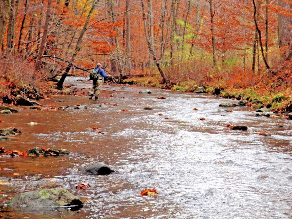Fishing expert shares his tips at Waveny Park in New Canaan