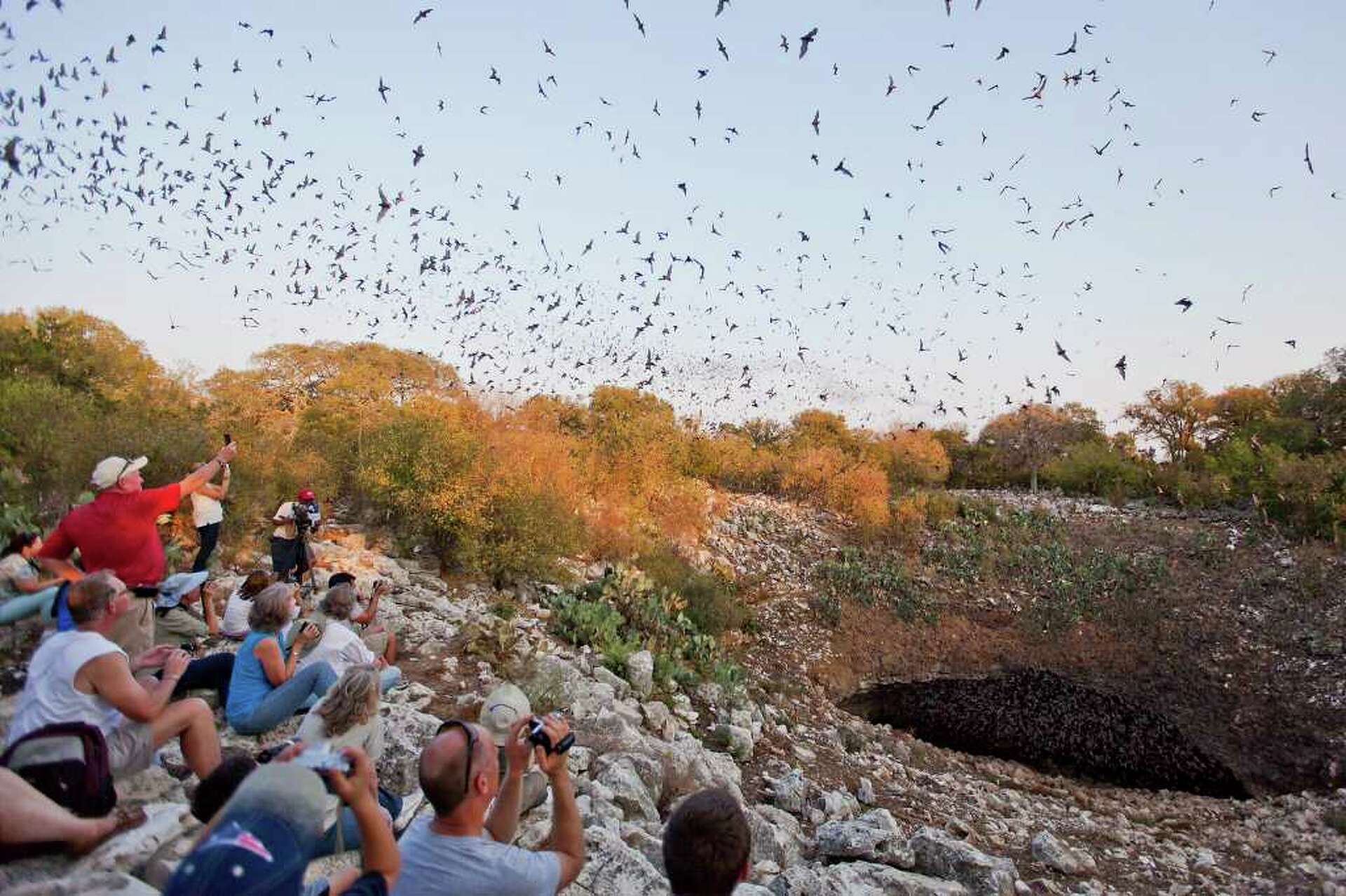 Bracken Bat Cave opens for tours