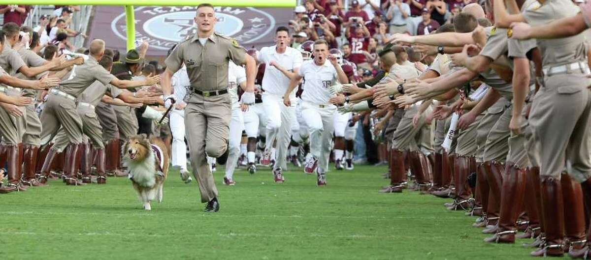 Retired A&M mascot Reveille VII dead at age 12