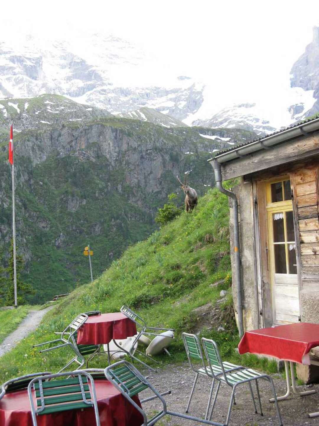 Get a taste of Swiss farm life high in the Alps