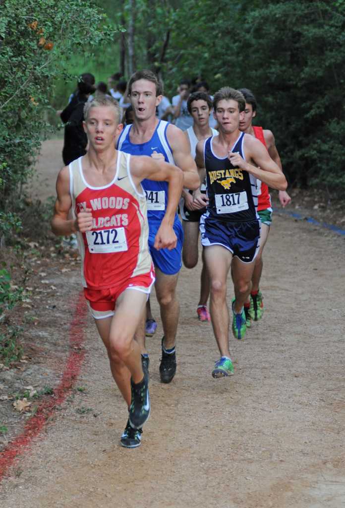 Cross country: Nowak, Wallace at the top