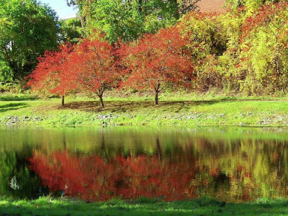 Reader photos of fall's splendor - Times Union