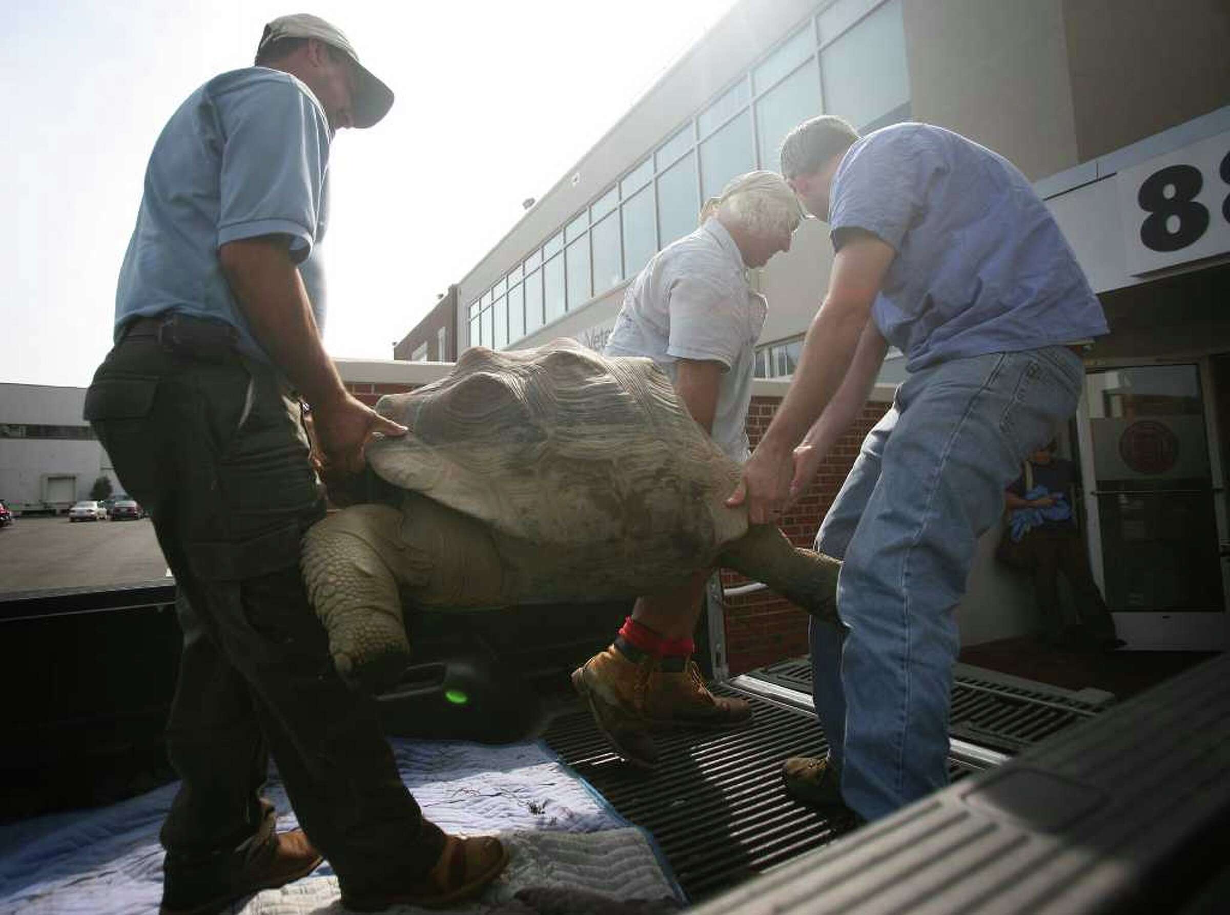 Modern medicine for an ancient species