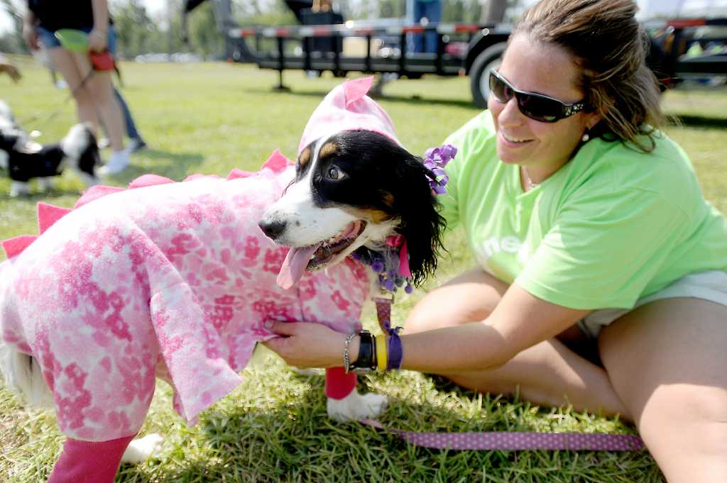 Bark for Life fundraiser