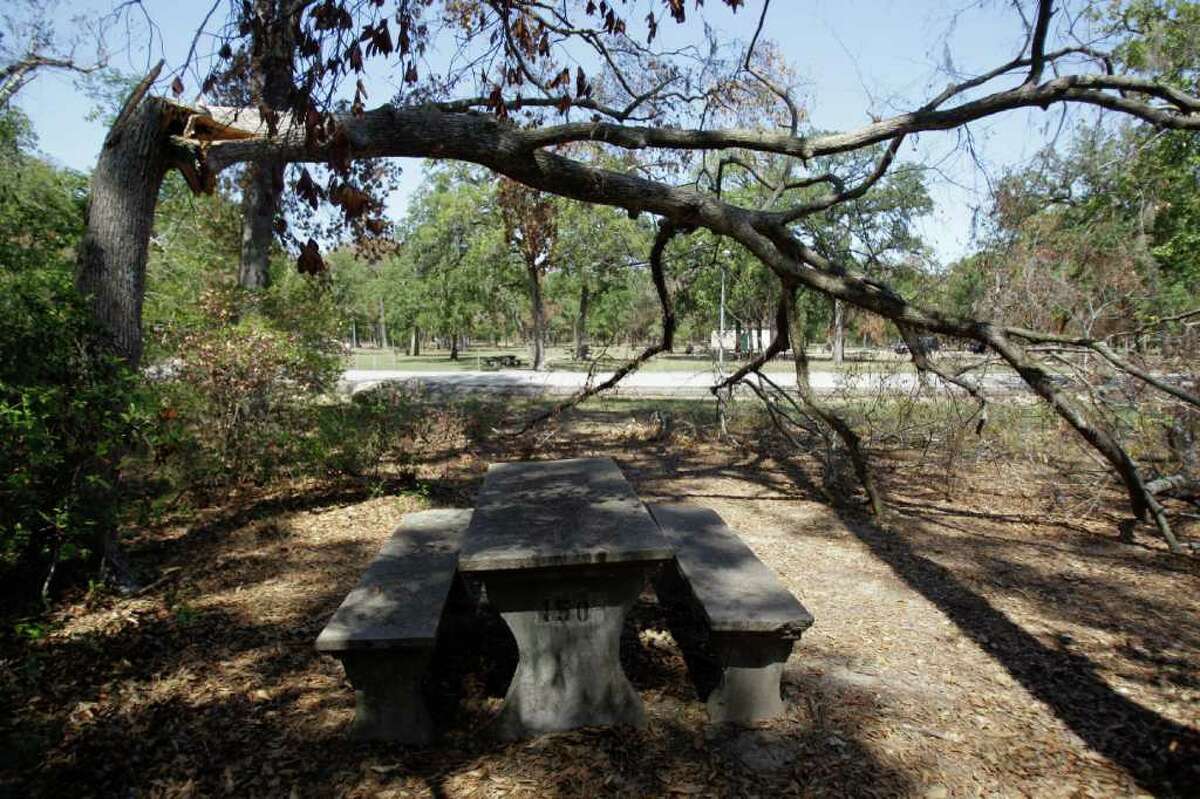 City needs $4.5M for dead trees