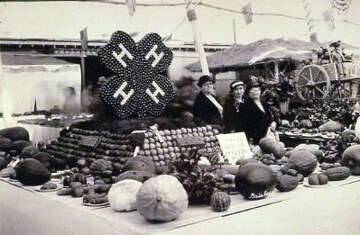 A love affair with the fair