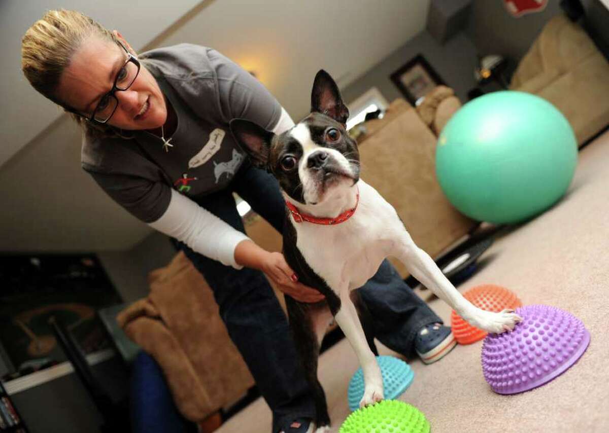 Pilates for Pooches helps train dogs and their owners