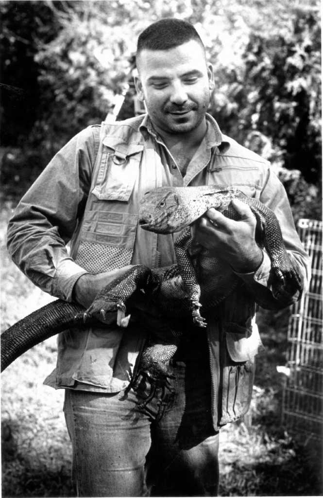 From the Archives: 'Most intensive lizard hunt in the city's history'