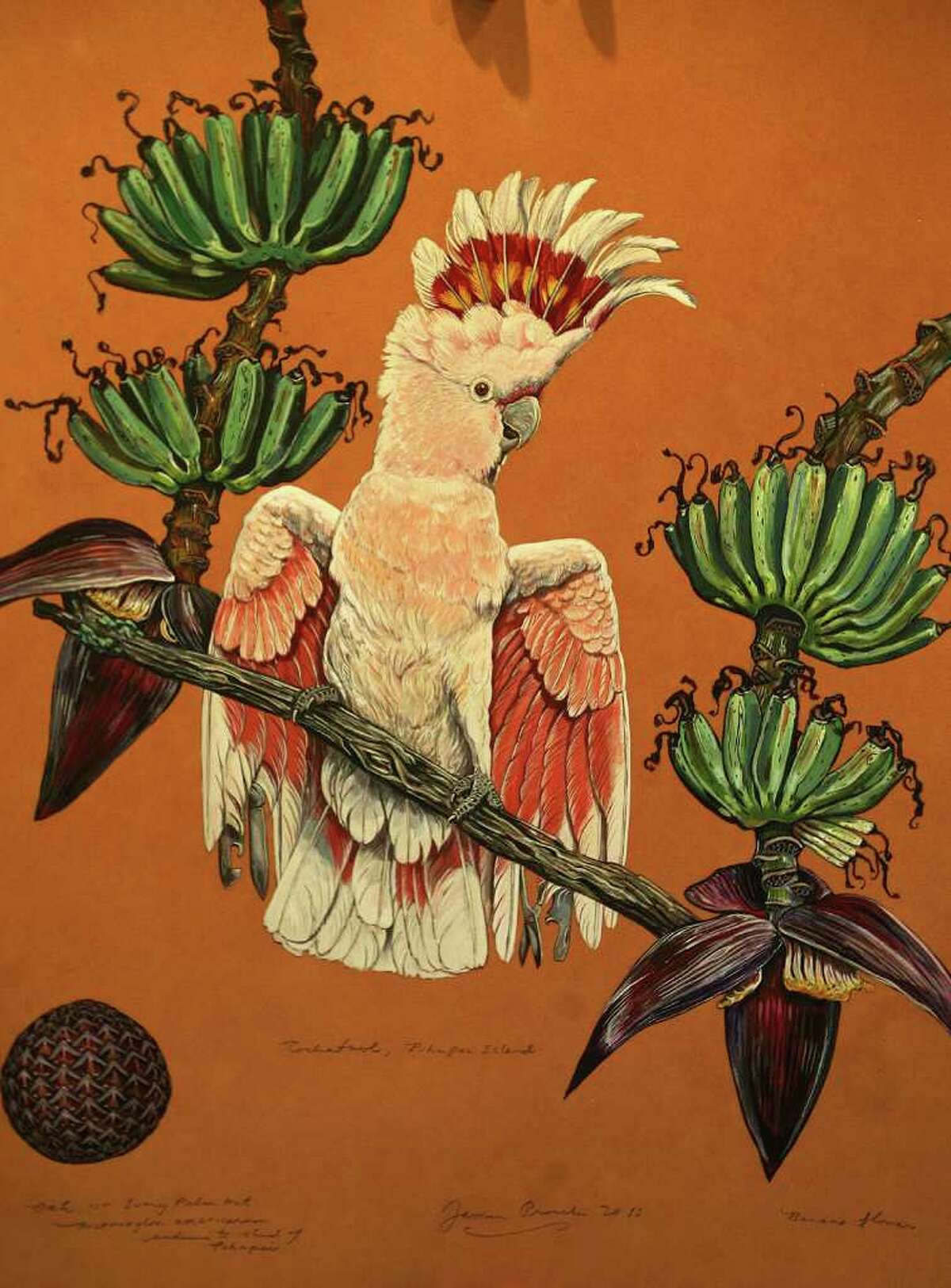 Bellarmine Museum focuses on Easton’s James Prosek