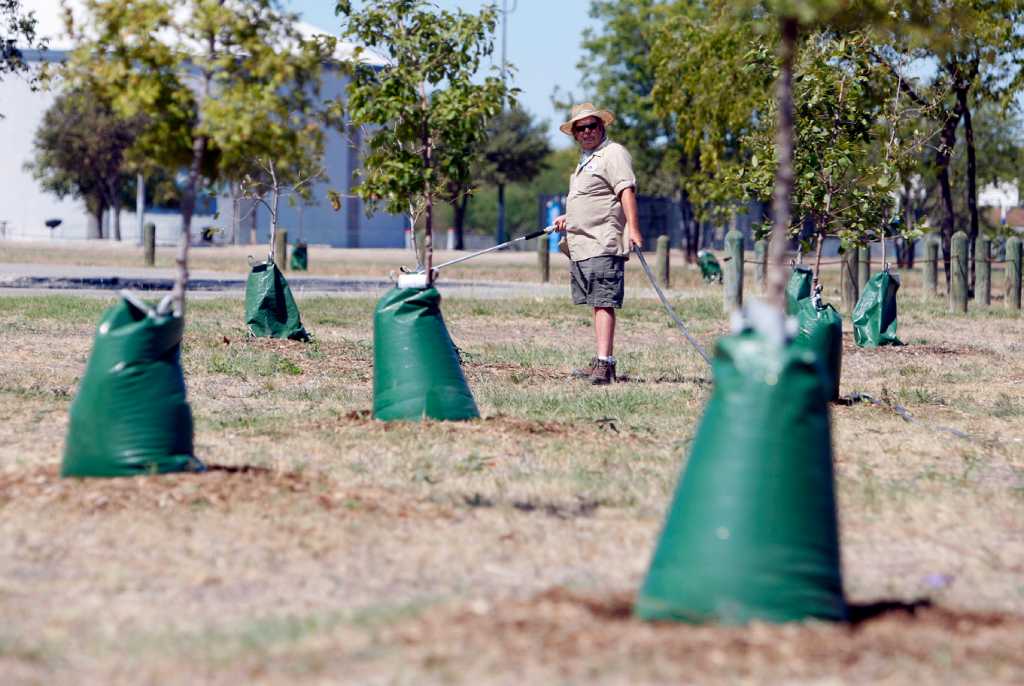 S.A. completes tree-planting program