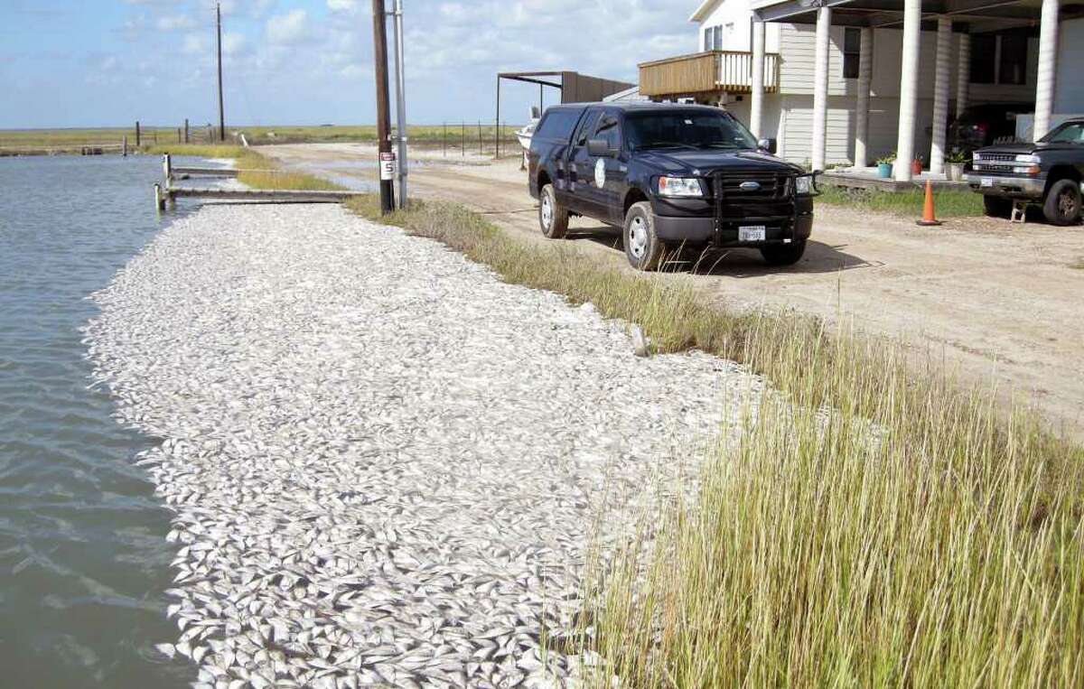 Patches of red tide affecting long stretch of Texas coast