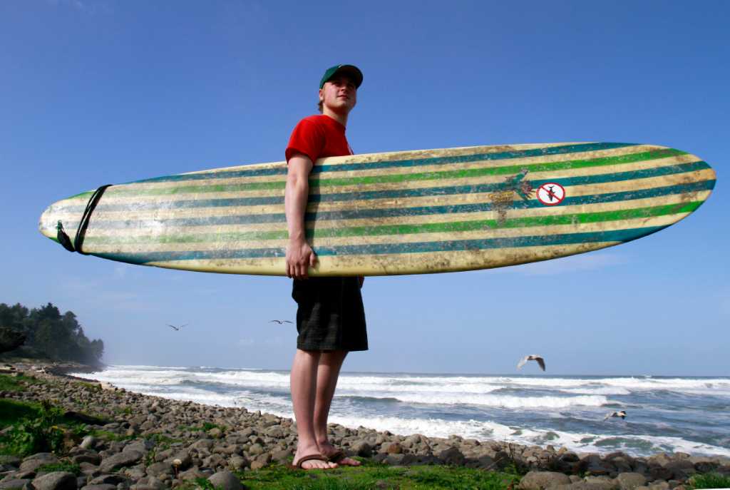Surfer's tale really jumps the shark