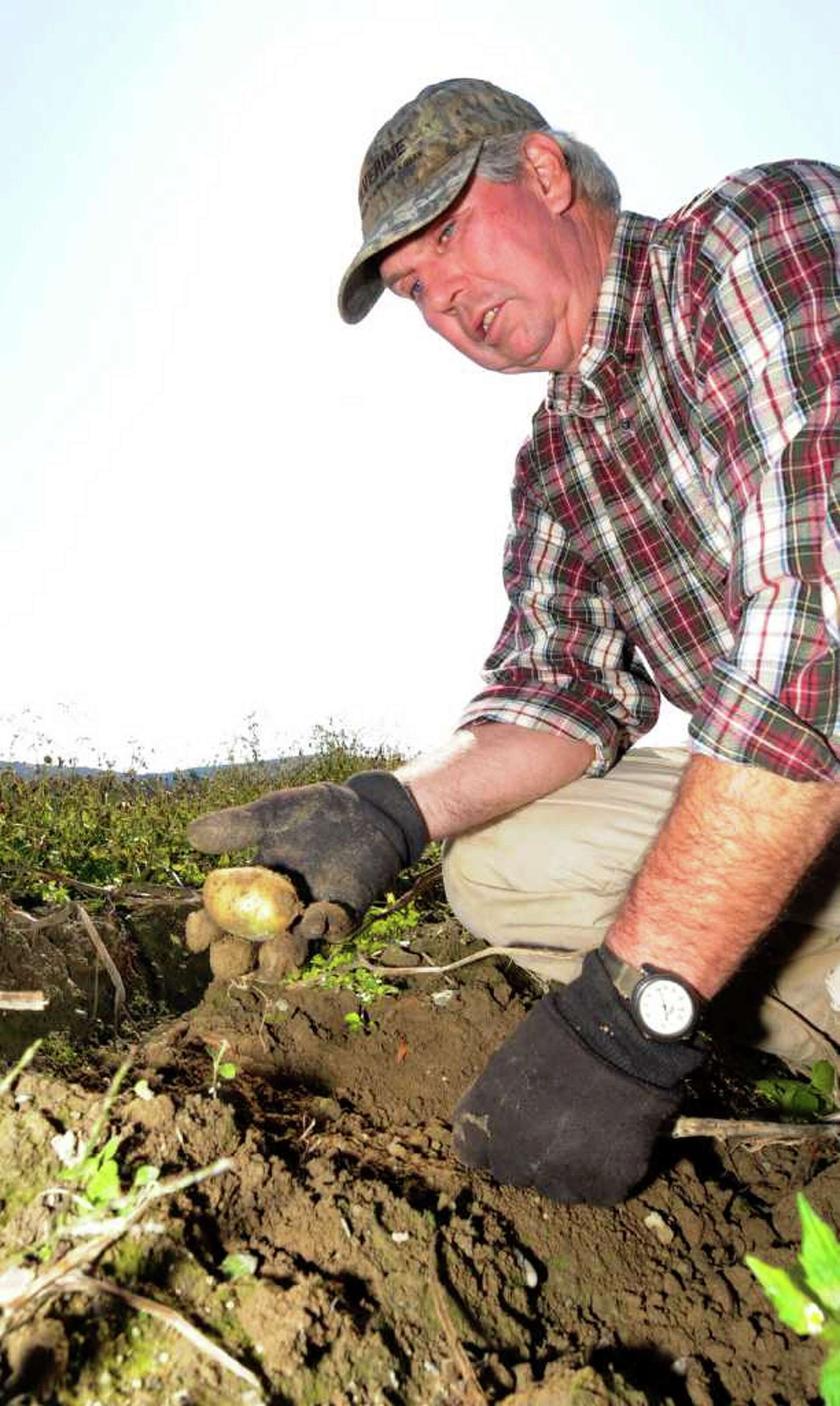 A lost harvest at Sheldon Farms